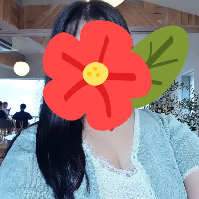 배색 브이넥 반팔 니트가디건 [5color] - 에이블리 스토어