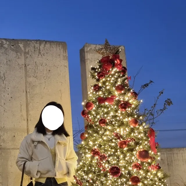 레이디슈 방한 통굽 퍼 스웨이드 털부츠 숏부츠 0130 - 에이블리 스토어