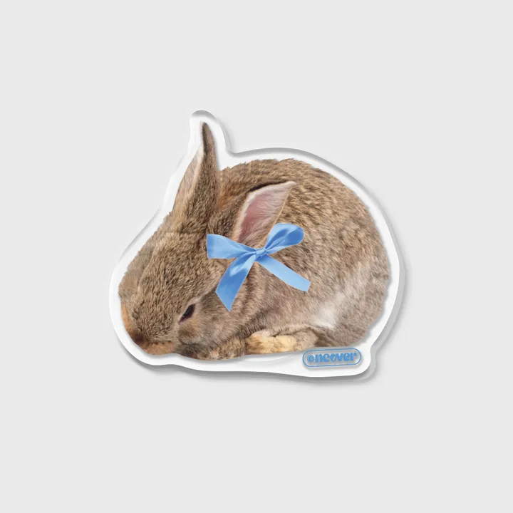 BLUE RIBBON RABBIT(아크릴스마트톡) - 에이블리 스토어
